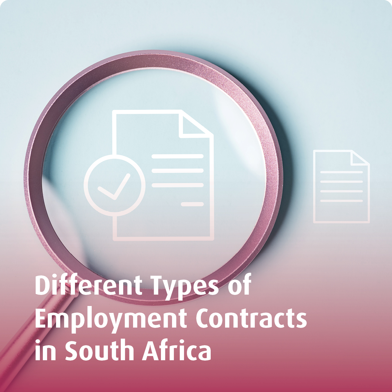 Understanding Employment Contracts in South Africa